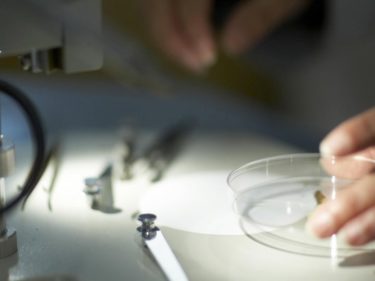 Life in the Lab: Kimberly Shorter '09 | Converse University